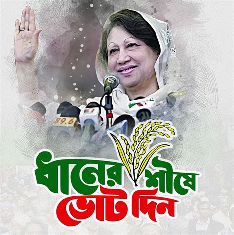 Mohammad Mehedi Hasan