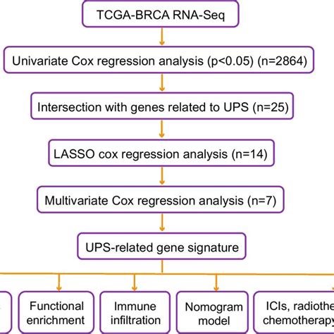 Flowchart For The Research Process Of The Prognostic Ups Related