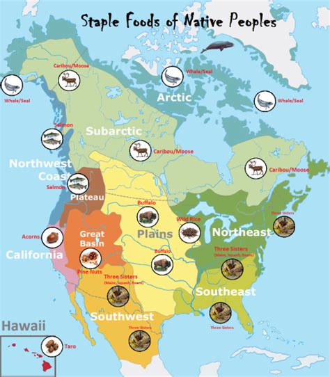 Pacific Northwest Tribes Native Americans Worksheets Activities Artofit