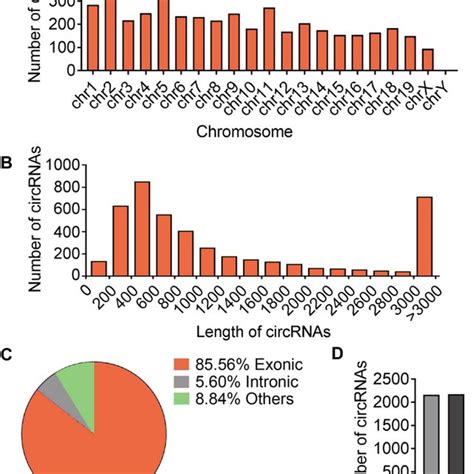 Differences And Characterizations Of Circrna Expression Profile A