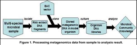 Figure 1 From Bioinformatic Insights From Metagenomics Through Visualization Semantic Scholar