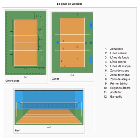 Educación Fisica Y Deportes Generalidades Del Voleibol