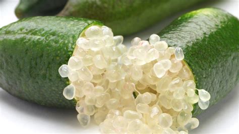 Finger Lime Organic Nts Fertiliser Guide Nutri Tech Solutions Pty Ltd
