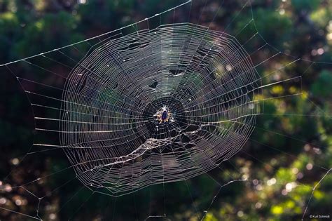 Focused Job Searches Get Better Results