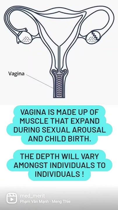 How Deep Is A Vagina Youtube