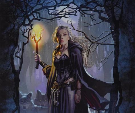 Паутина в вечерних сумерках 2019