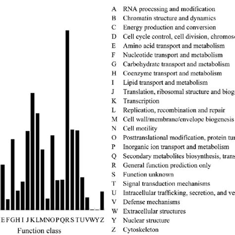 Histogram Presentation Of Clusters Of Orthologous Groups Cog