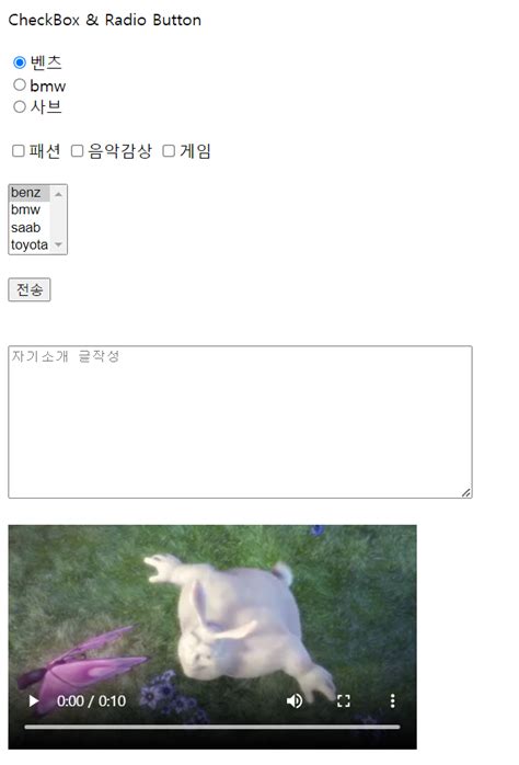Htmlradio Button Check Box