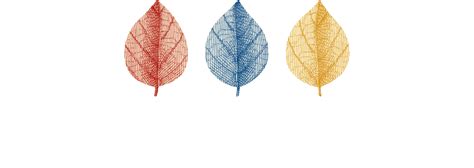 Jobs Perilla In Chicago Il