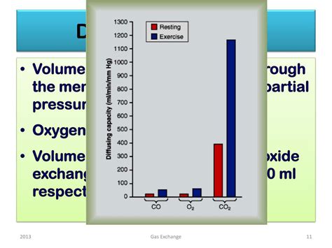 PPT Gas Exchange In Lungs PowerPoint Presentation Free Download ID
