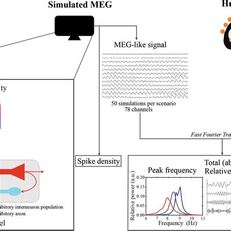 Simplified Illustration Of Data Generation And Analyses Of Simulated