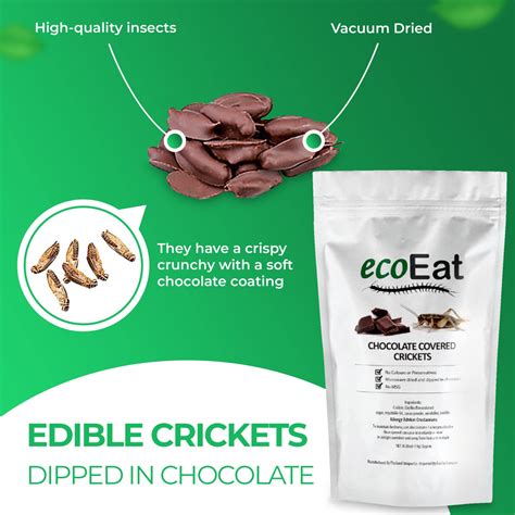 Ecoeat Edible Crickets Dark Chocolate Buy Online Uk Boropantry