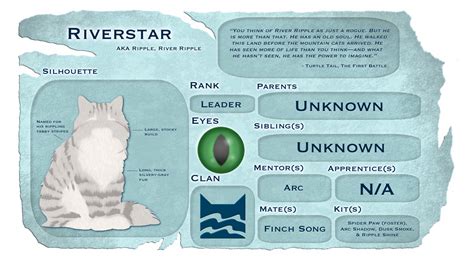 Dawn Of The Clans Written And Visual Guide Warrior Cats