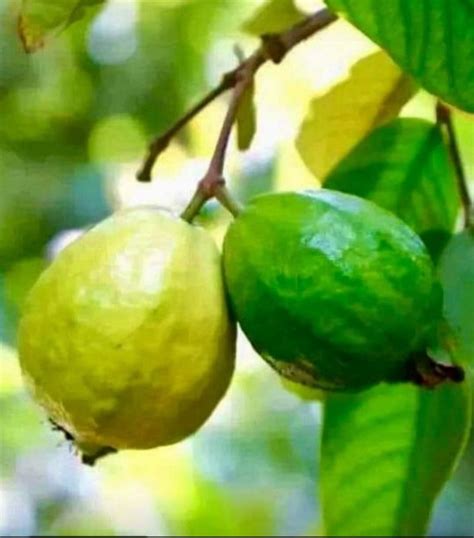 Moral Lesson Pradeep Kumar Saini