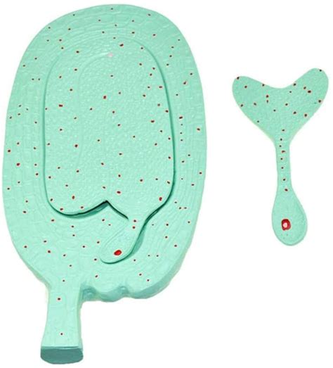 Study Model Plant Anatomy Model Chives Embryo Development Model