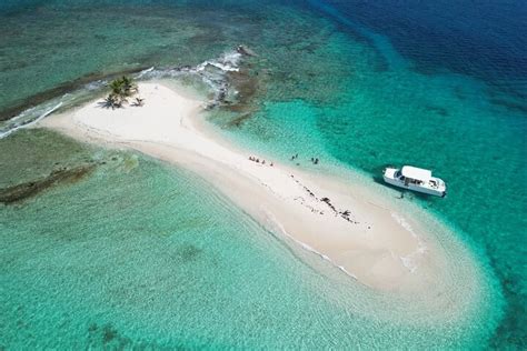 Turtle Time Charters 2025 All You Should Know Before You Go W Reviews