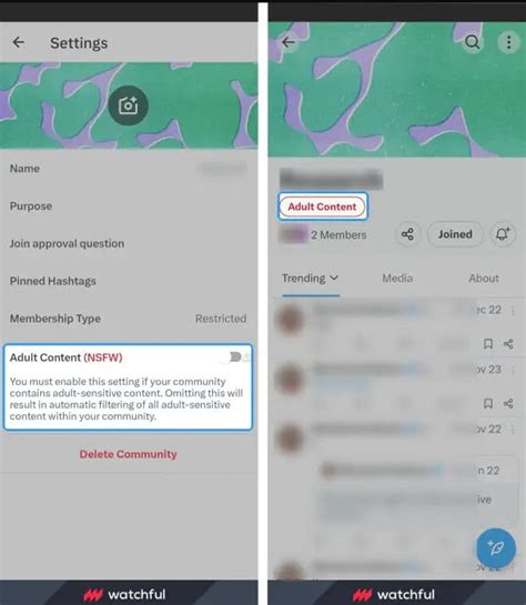 X To Expand Communities To Include X Rated Content Groups