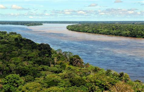 Cop30 Twelve Environmental Facts About Brazil In 2025 A Greener Life