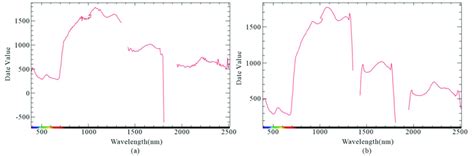A Spectral Profile After Radiometric Calibration And Flaash B