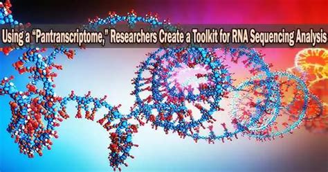 Using A Pantranscriptome” Researchers Create A Toolkit For Rna