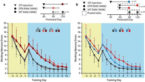 Longitudinal Performance For Working Memory Error Bars Represent