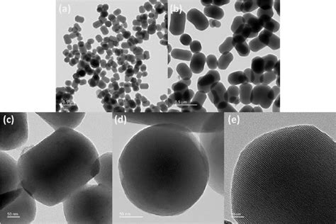 Transmission electron microscopy images (TEM) of CPC-MSN. Scale bar ...