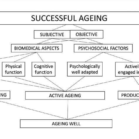 Pdf Definitions Of Successful Ageing A Brief Review Of A Multidimensional Concept
