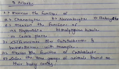 3 Marks Mention The Functions Of A Choanocytes B Nematocytes C Stato