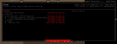 Items Too Heavybig To Pick Up Unable To Carry Past Weight Limit