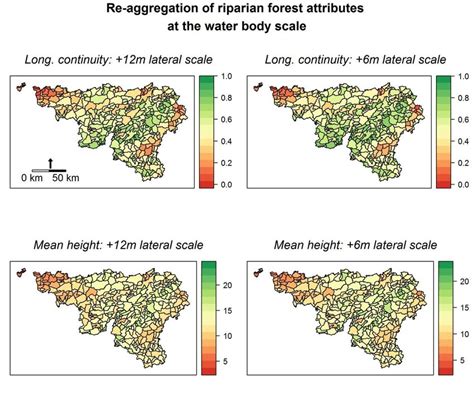 Regional Mapping Of The Riparian Forest Attributes Forest Continuity Download Scientific
