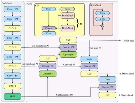 the network structure of yolov8 includes the detailed structure of c2f