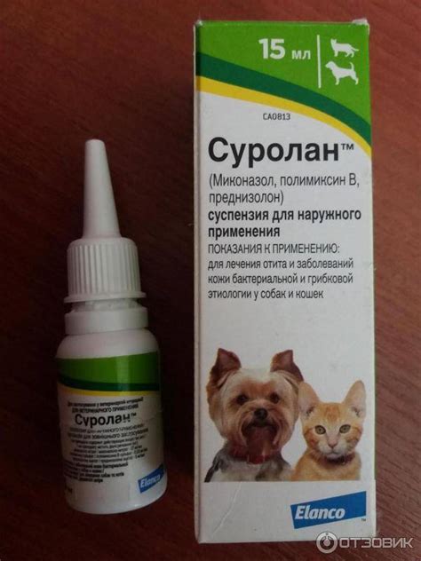 Капли от отита и ушного клеща для котят и взрослых кошек: какое ...