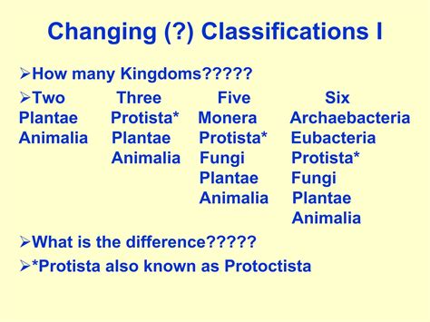 230 Classification Systematics Animal Phylogenyppt