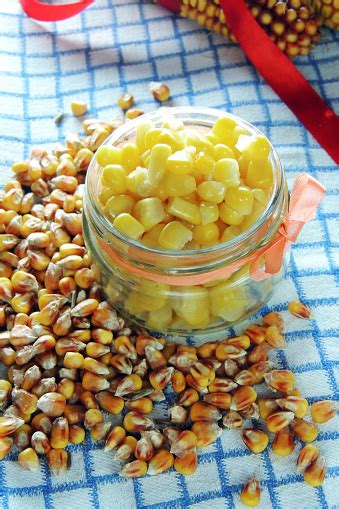 Jagung Kalengan Dan Jagung Basah Foto Stok Unduh Gambar Sekarang