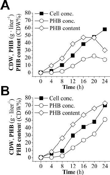Biomass And Phb Accumulation In Fed Batch Cultures Of Strains K24 A Download Scientific