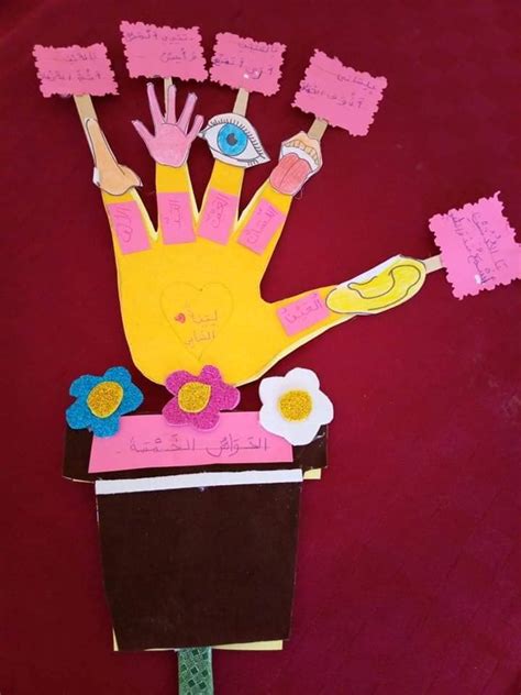 مشروع الحواس الخمسة نماذج لمشاريع الابتدائي