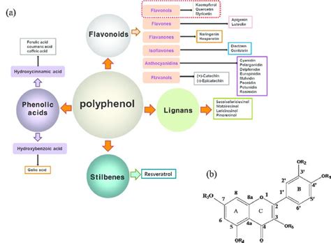 A Classification Of Polyphenols And B Chemical Structure Of Download Scientific Diagram