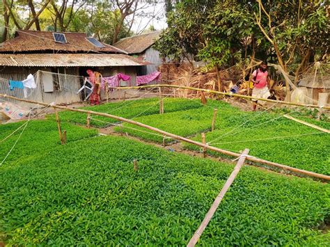 Md Rashed Khan On Linkedin Climateresilience Climatesolutions