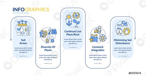 Principles Of Regenerative Farming Blue Rectangle Infographic Template Stock Vector 5707674