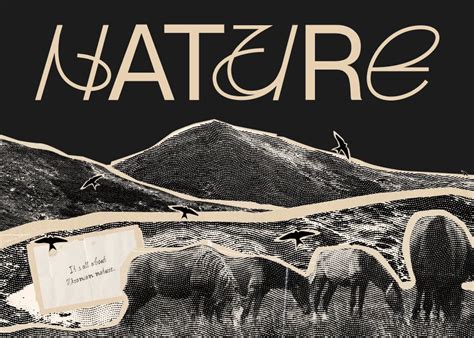 best animation websites web design inspiration