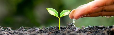 Announcing The Fy2022 Water Optimization Grant Utah Department Of