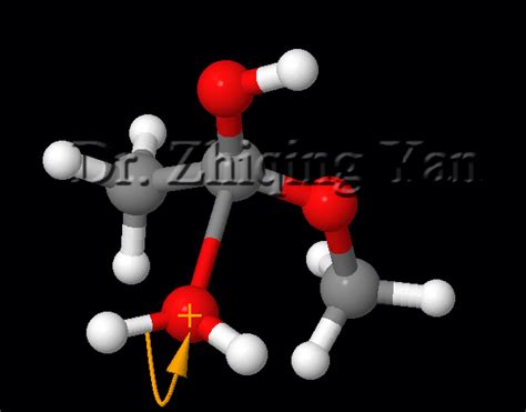 Acid Catalysed Ester Hydrolysis