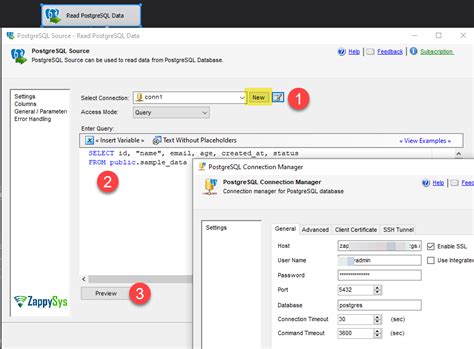How To Read Large Postgresql Table In Ssis Ssis Powerpack Zappysys