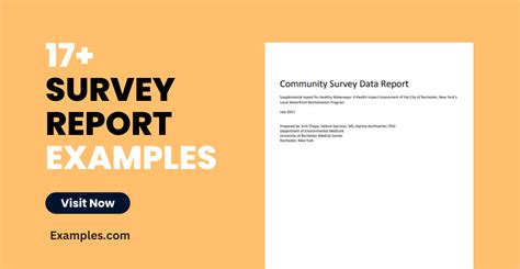17 Survey Report Examples To Download
