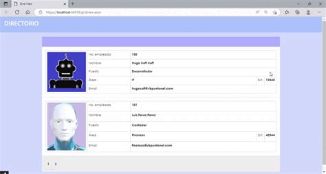 formato a gridview en asp