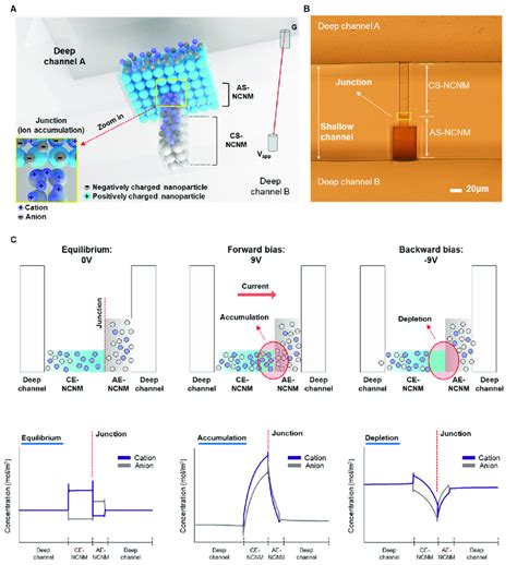 Schematic Fabrication Result And Working Principle Of The Proposed