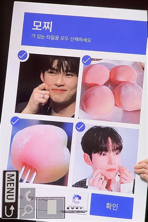 [잡담] 성한빈 귀여워 어떡해 인스티즈 Instiz 연예 카테고리