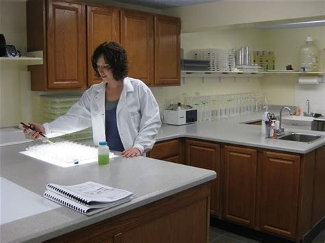 Aquatic Toxicity Testing Biomonitoring Whole Effluent Toxicity WET Testing