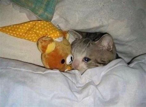 GitHub SiScocsgo STM32 USB Keyboard STM32 USB Keyboard Sample Example Code And Project Folder