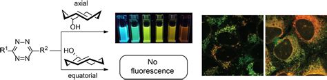 Organic Reactions In Live Cells A New Fluorogenic Click Reaction For